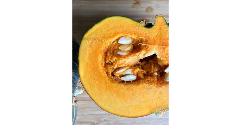 Kabocha No Nimono Recipe [vegan & gluten-free] | Yatta-Tachi